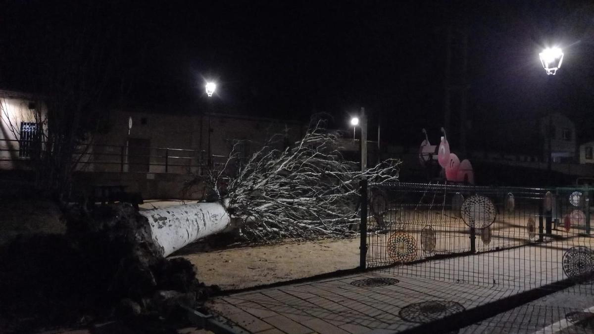 BORRASCA HERMINIA CASASECA DE LAS CHANAS ZAMORA | Casaseca de las ...