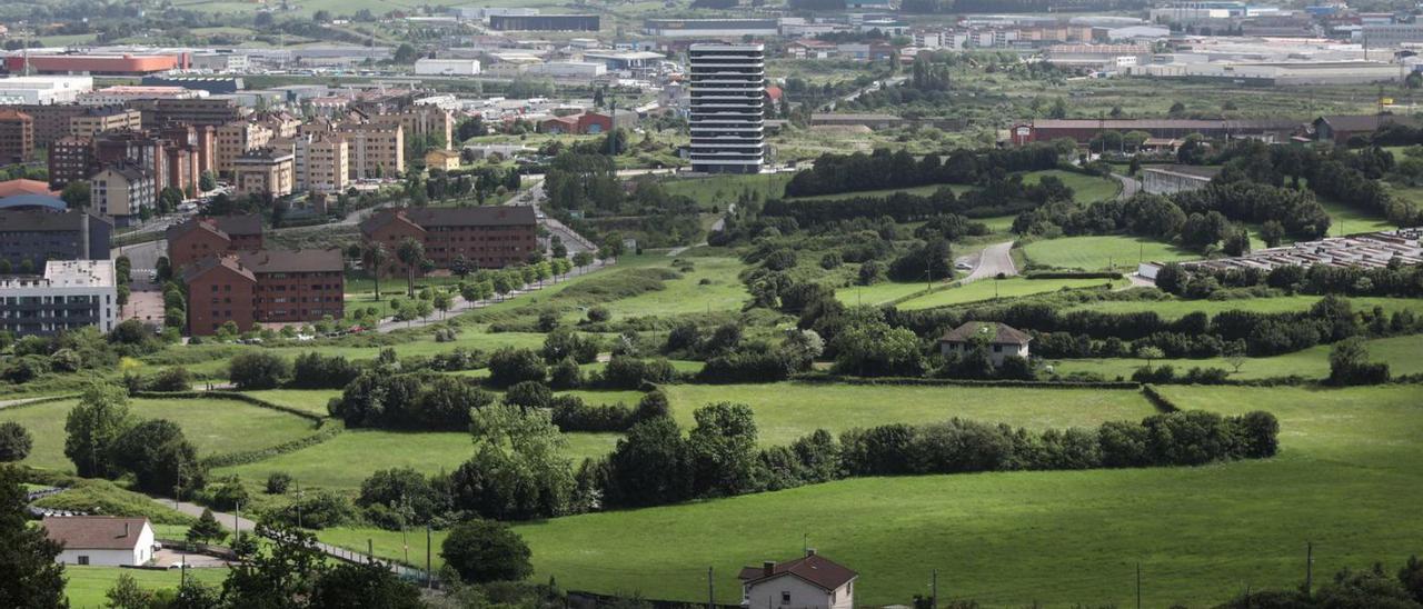 La obra del vial de Jove comenzará en el verano de 2024 sus 59 meses de trabajo