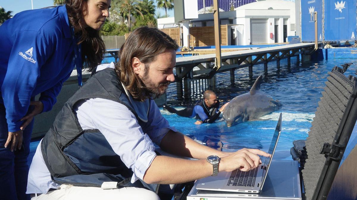 Más de cien expertos abordan en el Oceanogràfic el papel de los acuarios en la conservación de ...