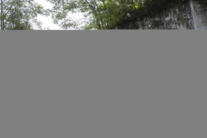 La Zoreda, un bosque "animado" para viajar en el tiempo