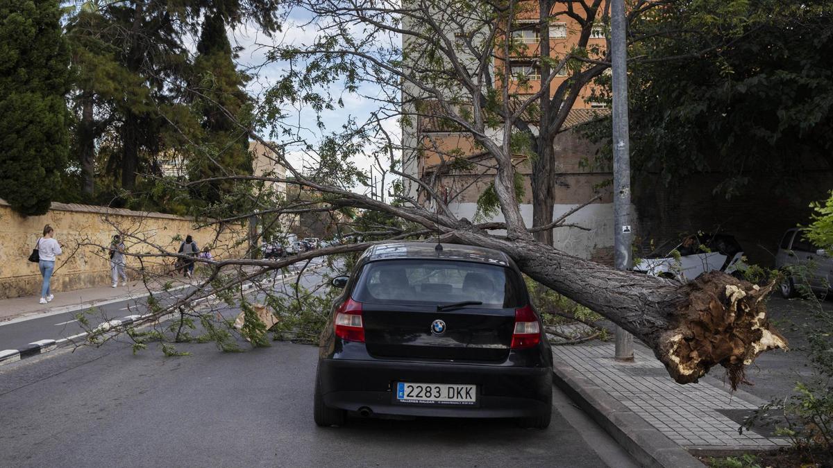 Incendio Montitxelvo: el fuerte viento deja varios heridos y rachas de ...