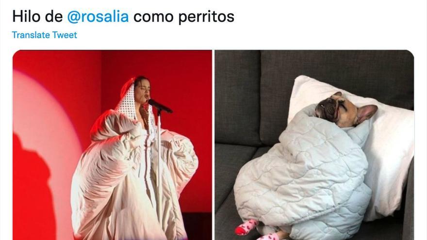 Rosalía Motomami | 'Motomami': Los mejores memes por el estreno del ...
