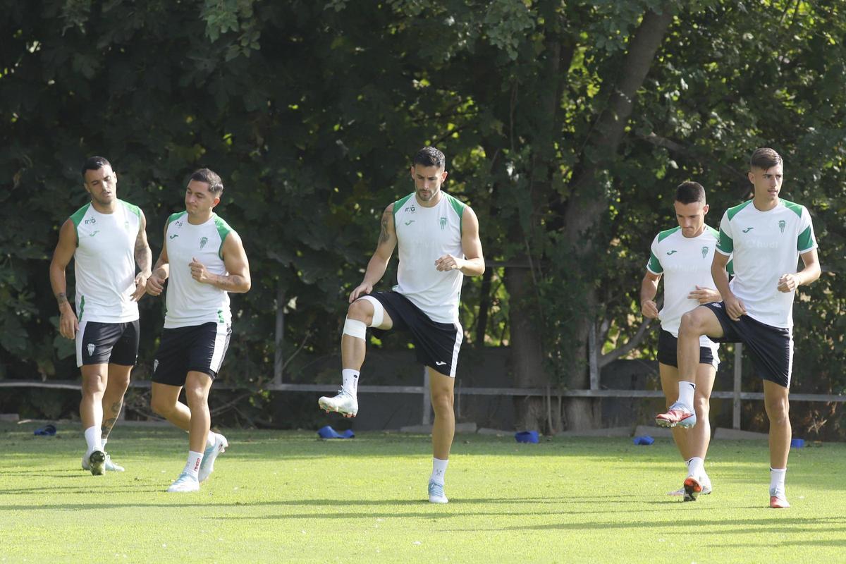 Córdoba CF | El cambio radical en un año: de la plantilla novata en ...