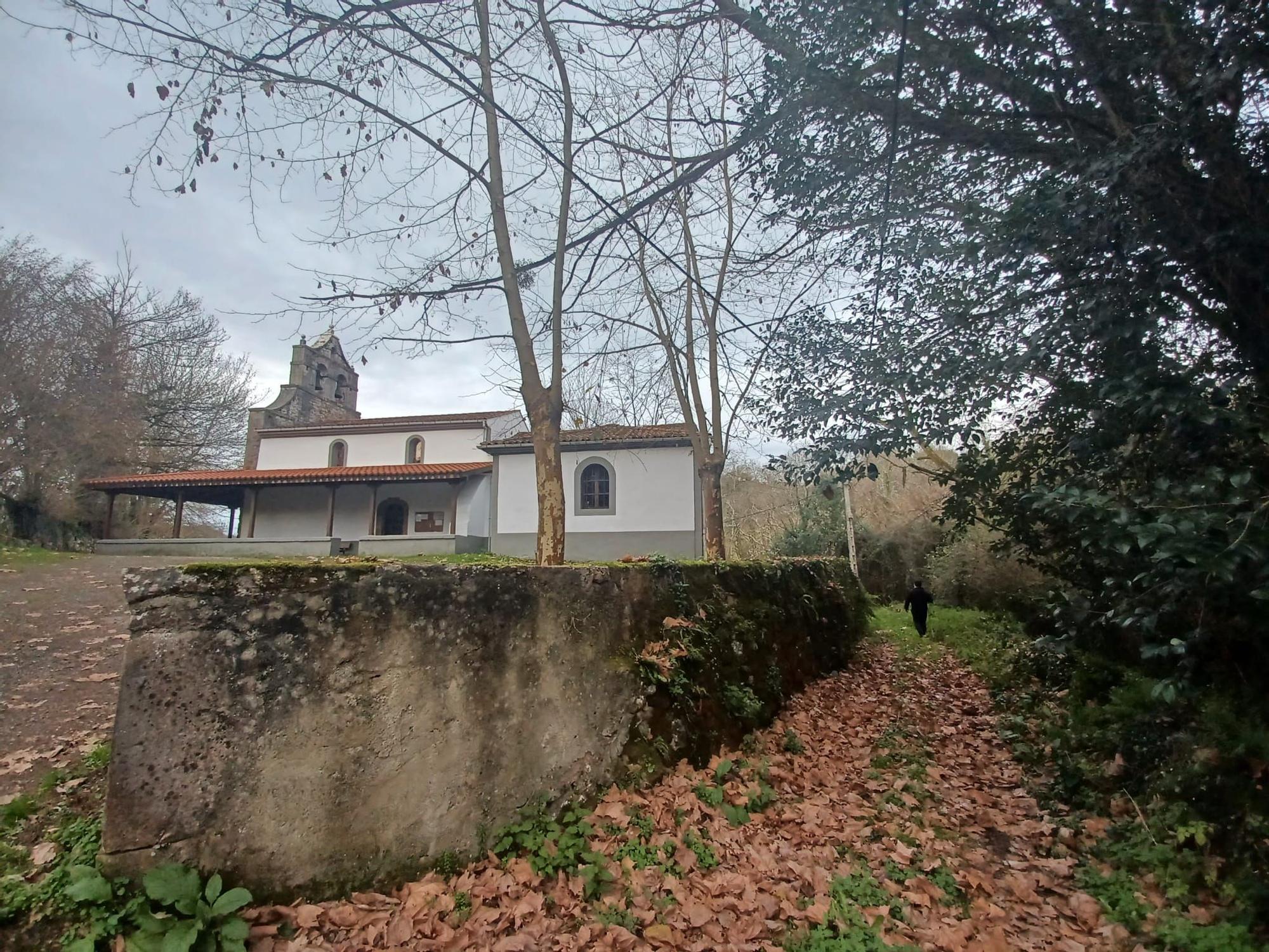La ruta del bosque viejo de Báscones, un baño de historia y naturaleza ...