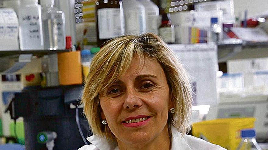 Ana Coto, la catedrática que tuvo que dimitir como diputada para ...