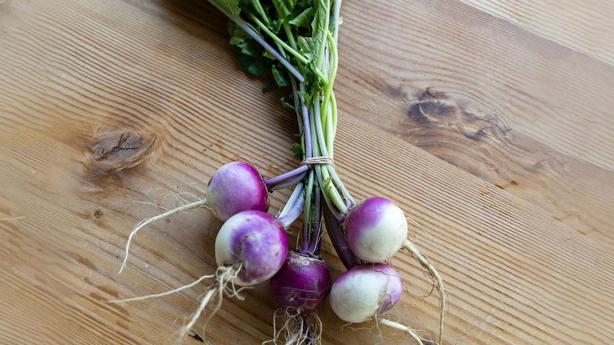 BRASSICA RAPA SUBSP. RAPA | La razón por la que todo el mundo está ...