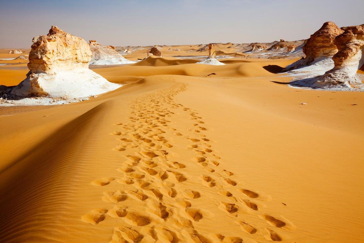 Bienvenidos a la asombrosa Farafra y el universo blanco egipcio - Viajar