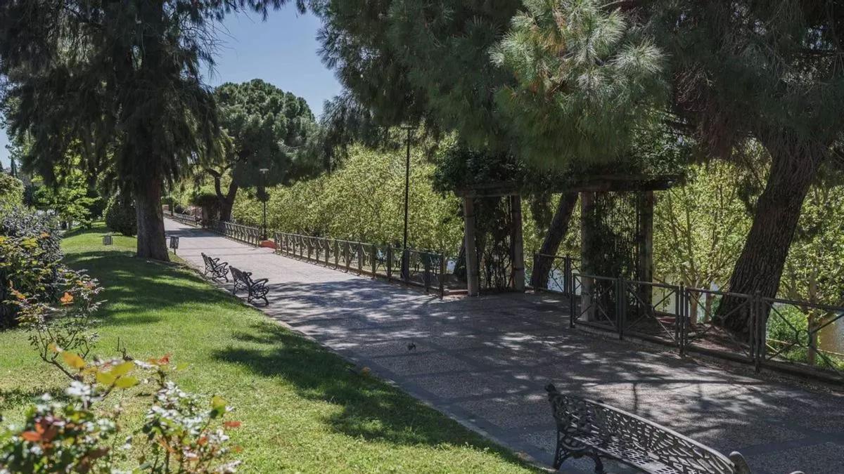 Fondenex denuncia al Ayuntamiento de Mérida ante el Seprona por podar ...