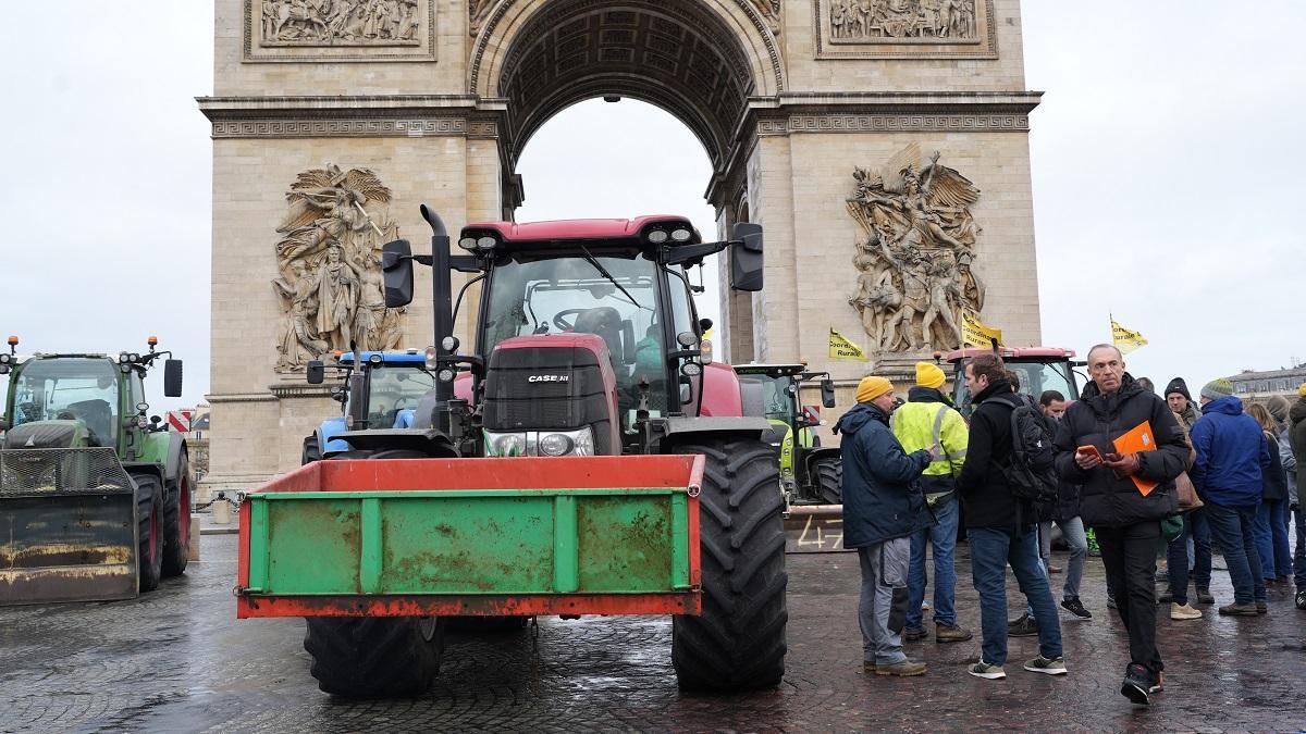 Así va la campaña citrícola: menos mandarinas, más importaciones y ...