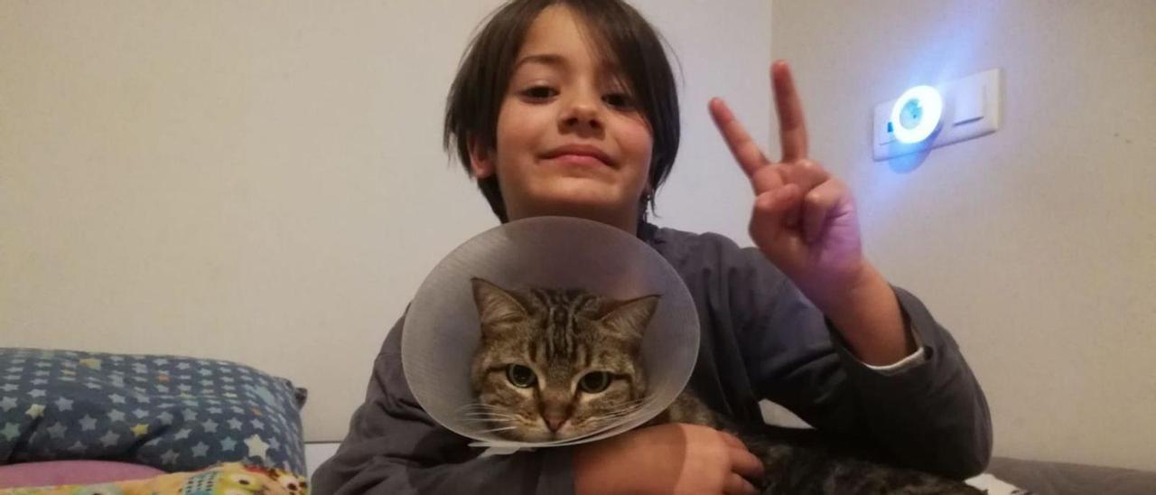 Un final feliz para Michiña