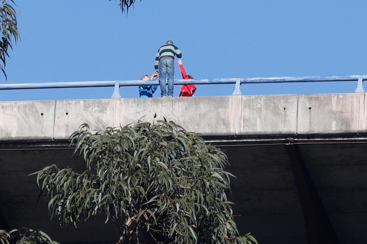 Rescatan a un hombre que intentaba precipitarse por el viaducto de la ...