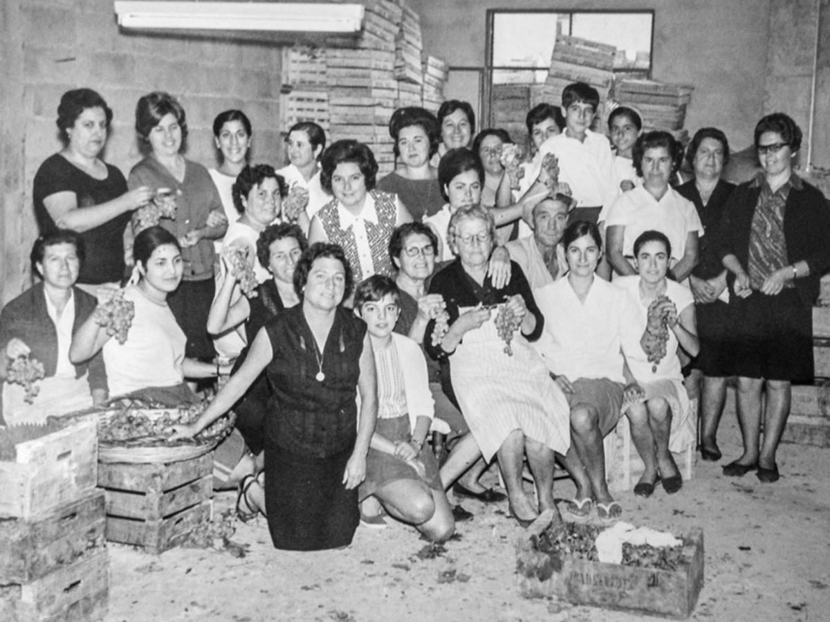 Uvas Cabrera, cinco generaciones con el Moscatel desde la Marina Alta