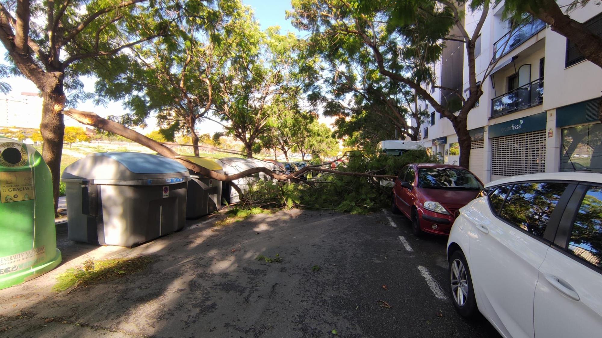 Locos por la escalada en Alicante