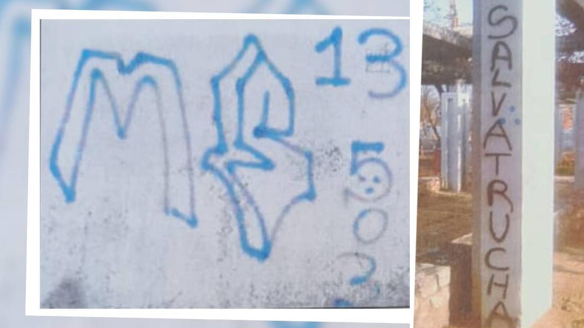 ¿Cómo saber si una banda latina está en tu barrio? Guía para descifrar ...