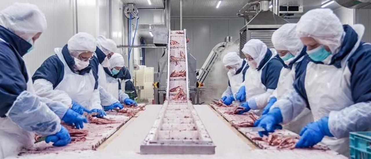 Profand es la única gallega en el “top 3” de la pesca tras la venta de ...