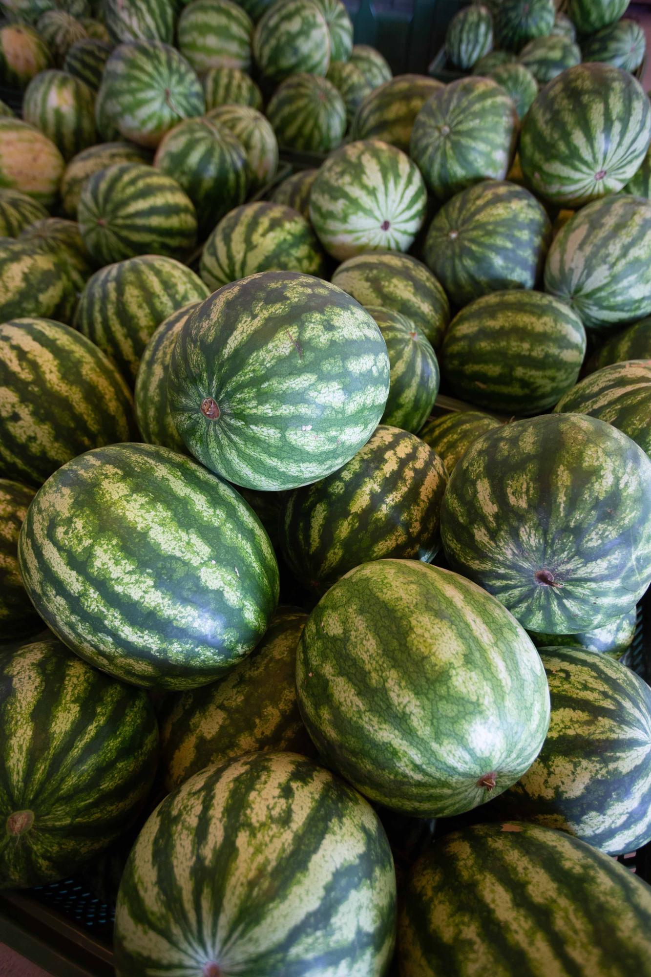 La ‘sandía más grande del mundo’ pesa 20 kilos y es de es Canar ...