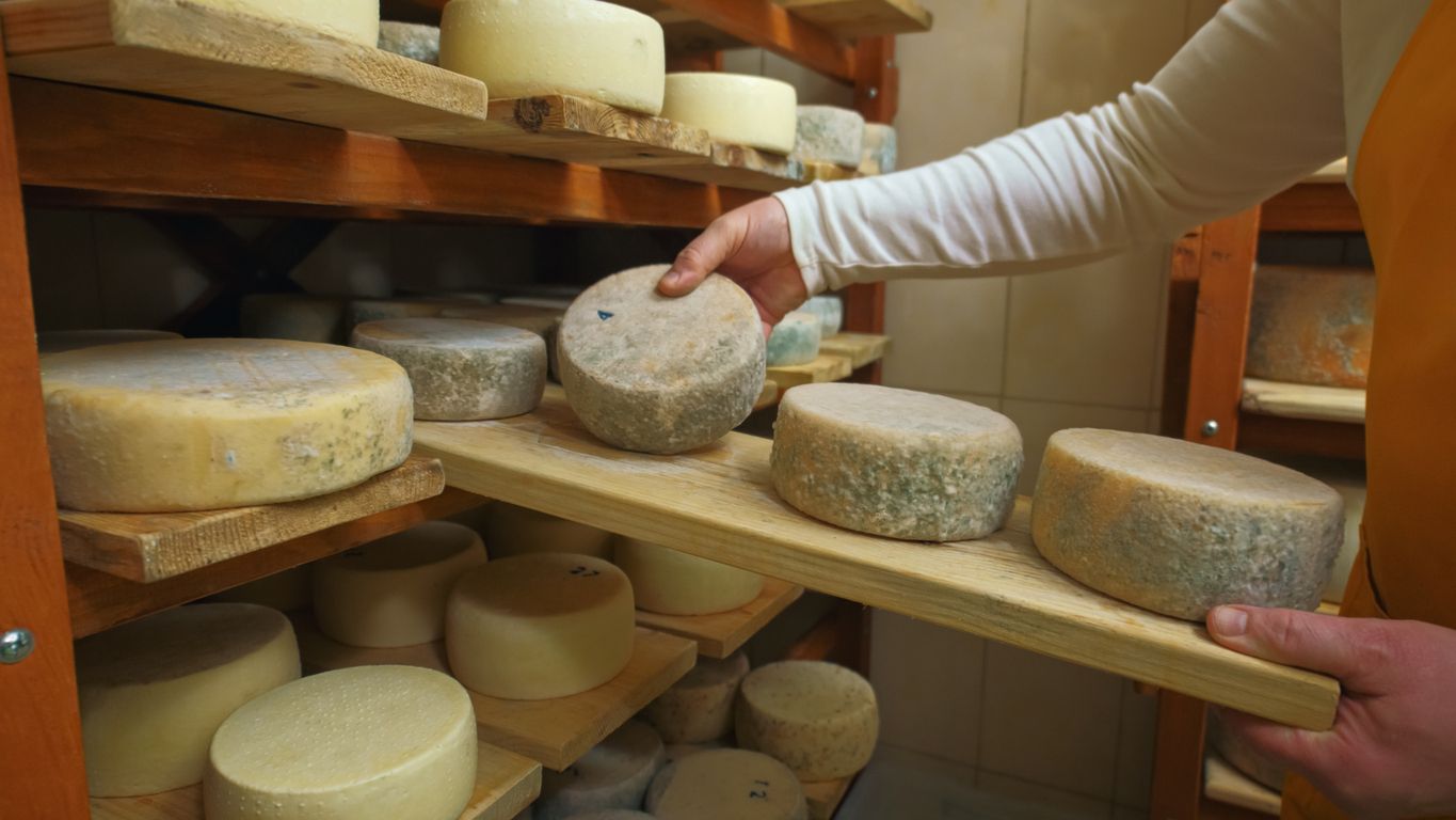 EL MEJOR QUESO DE ESPAÑA | El mejor queso de España se hace en este ...