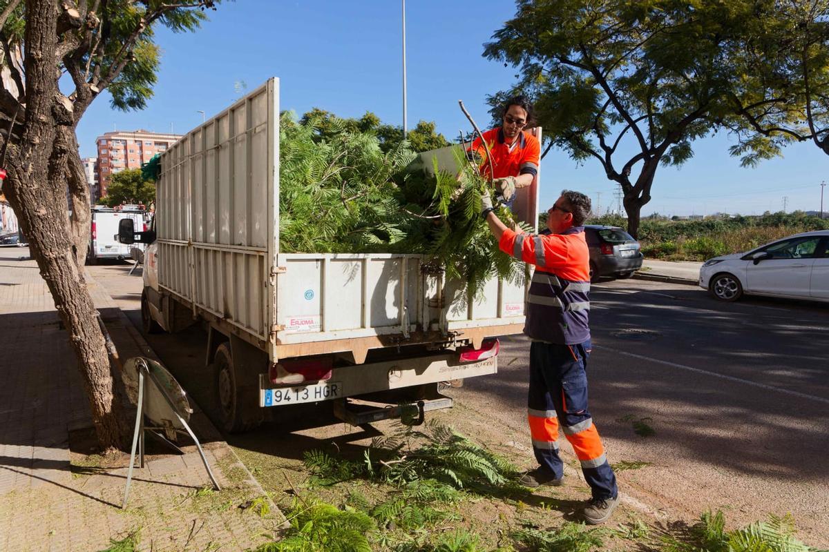ZONAS VERDES EN CASTELLÓN | Se avecina una gran plantación urbana en ...