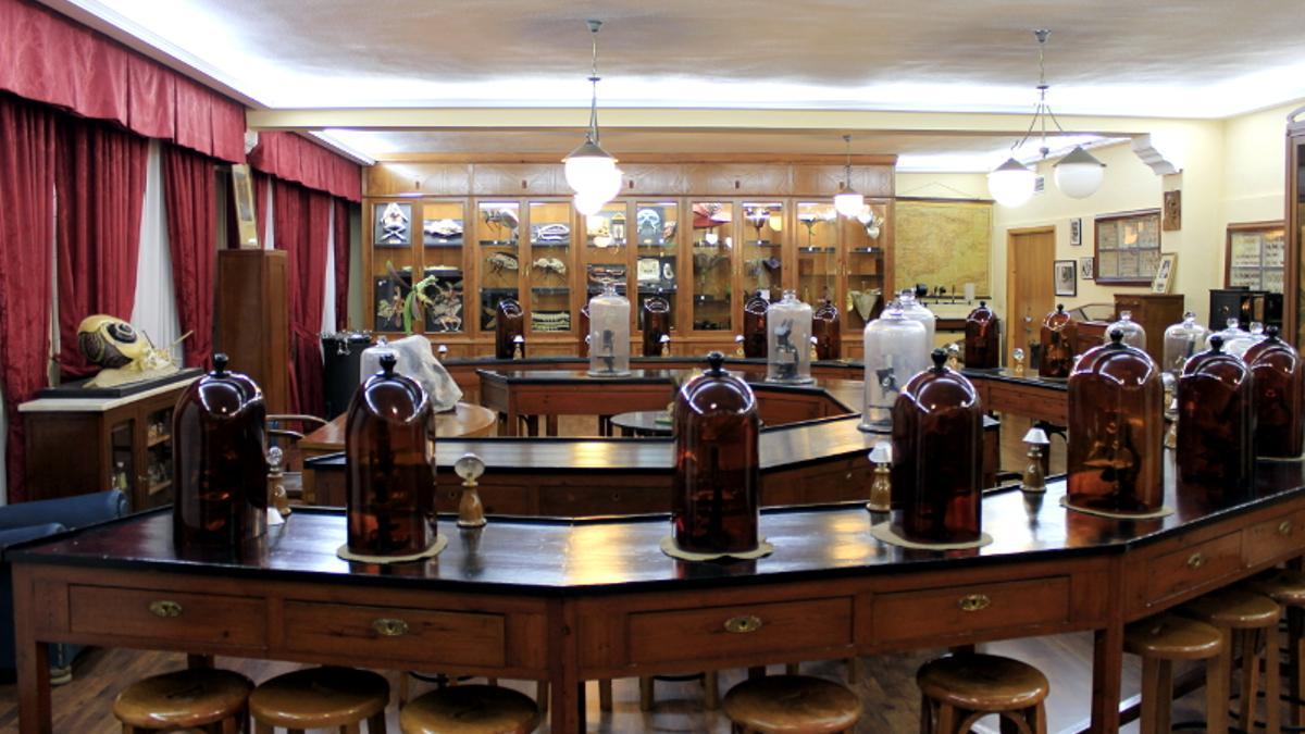 La UMU publica un inventario ilustrado de los fondos del museo de ...