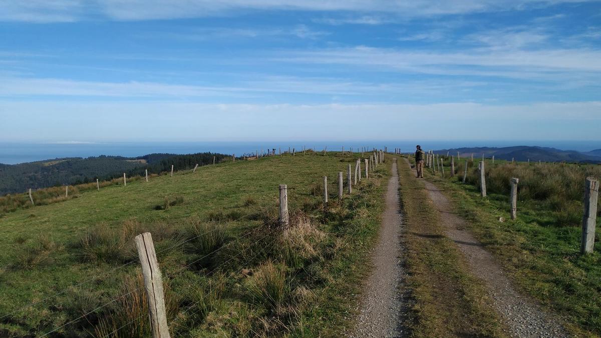 RUTAS PRESTOSAS PICO FARIO| Conoce un escenario de Netflix oculto en Piloña: la ruta circular al ...