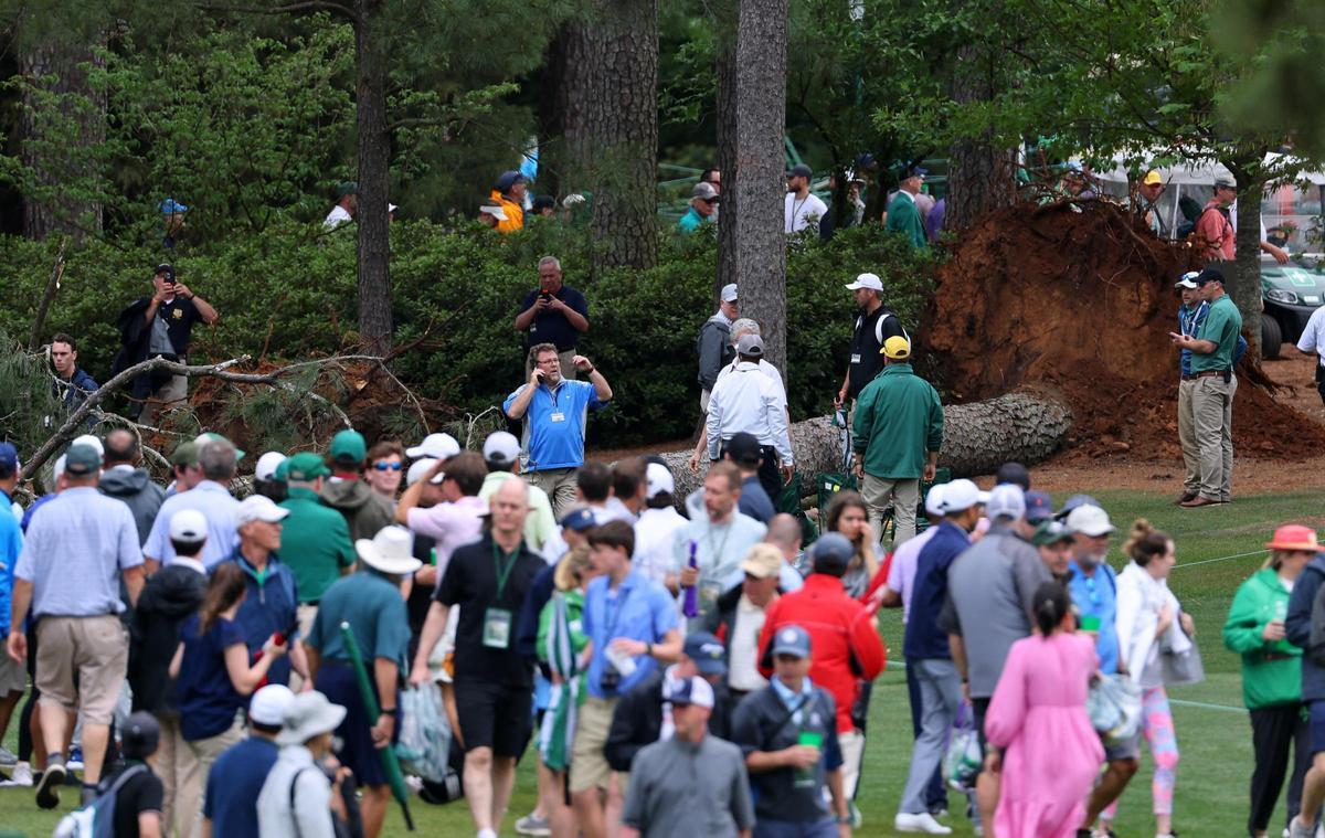 Susto en el Masters de Augusta tras caer varios árboles en una zona con ...