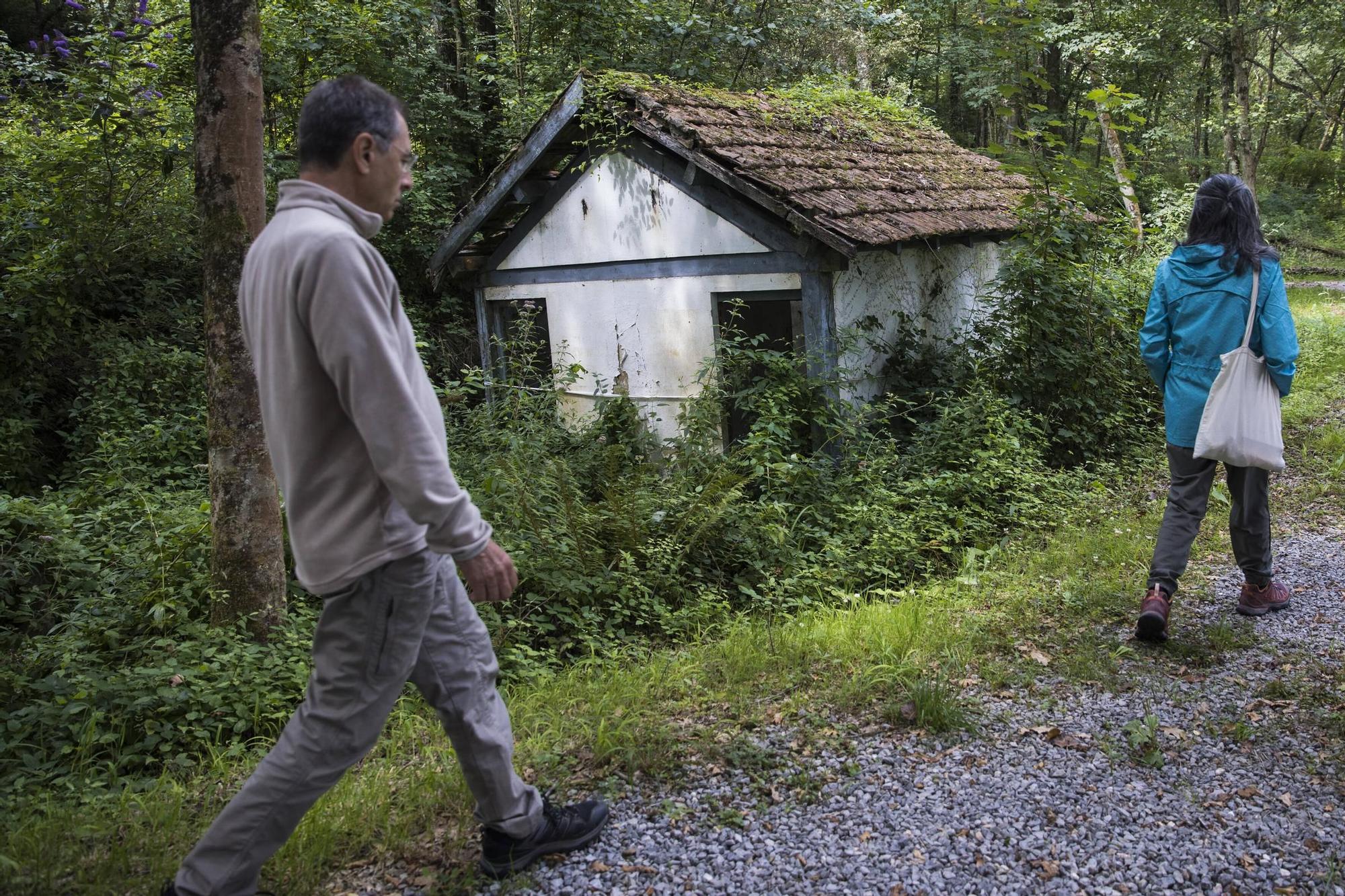 En imágenes: La Zoreda, un bosque "animado" para viajar en el tiempo