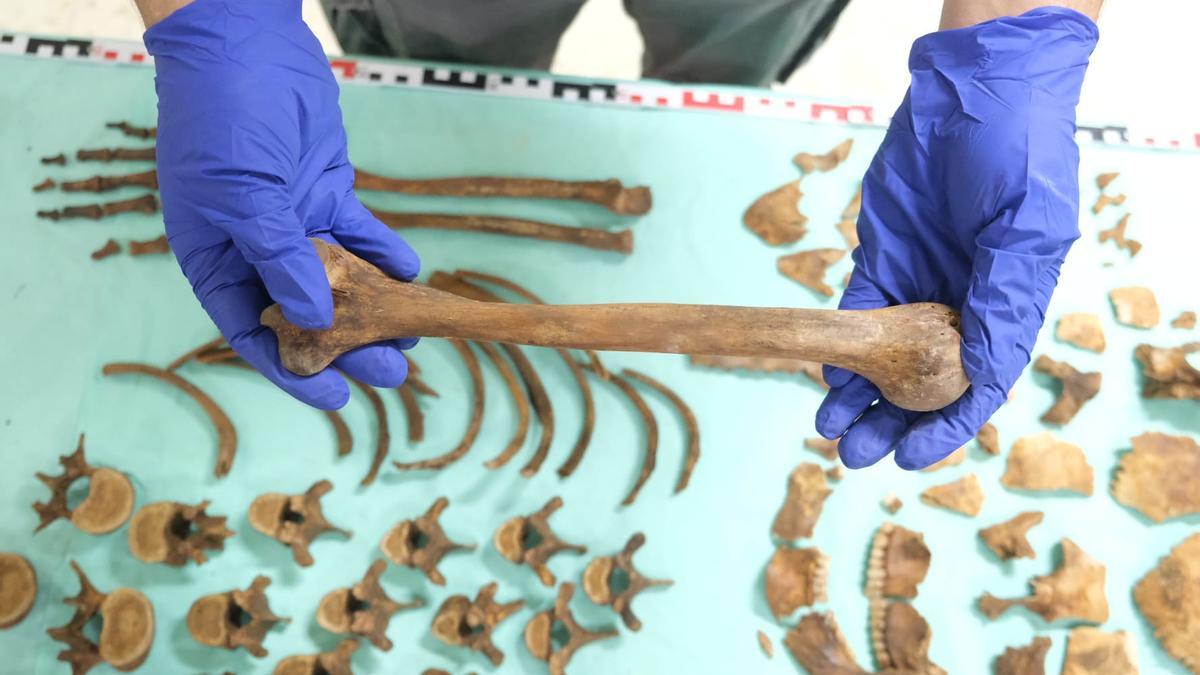 El ADN de la Memoria Histórica - Información