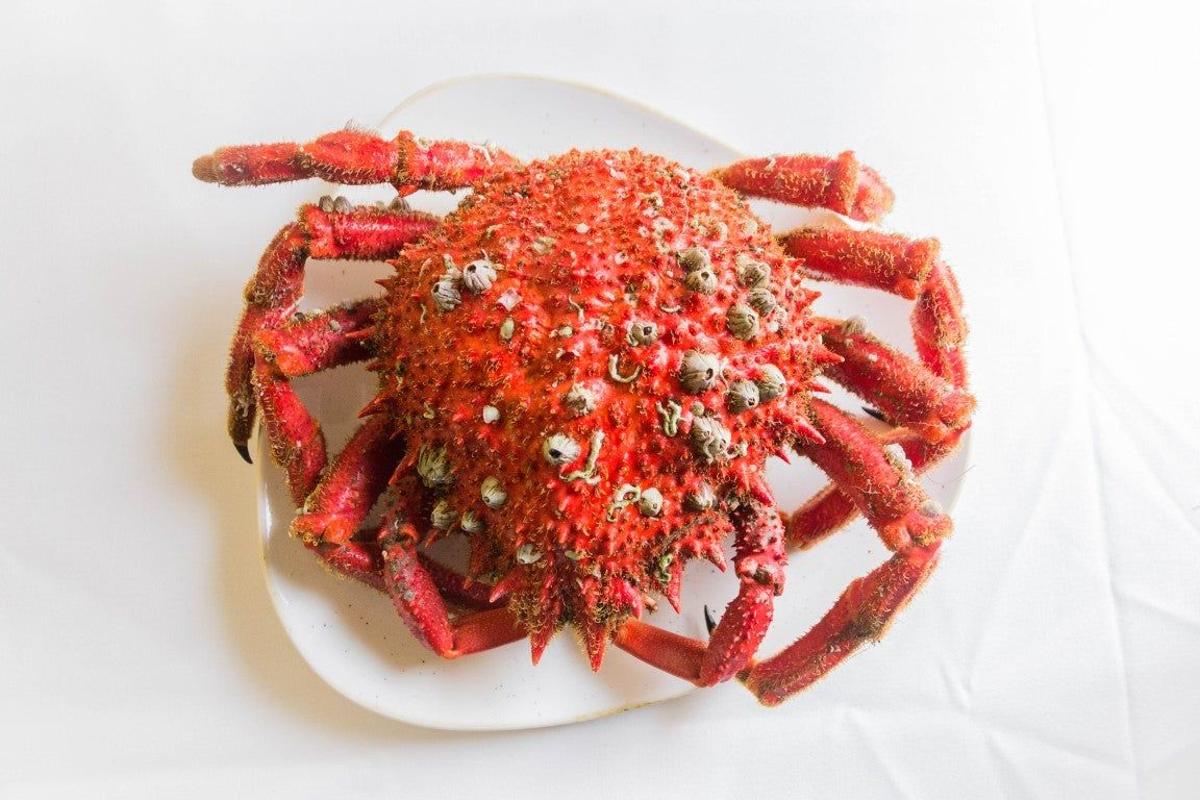 Los mejores restaurantes para comer marisco - Viajar