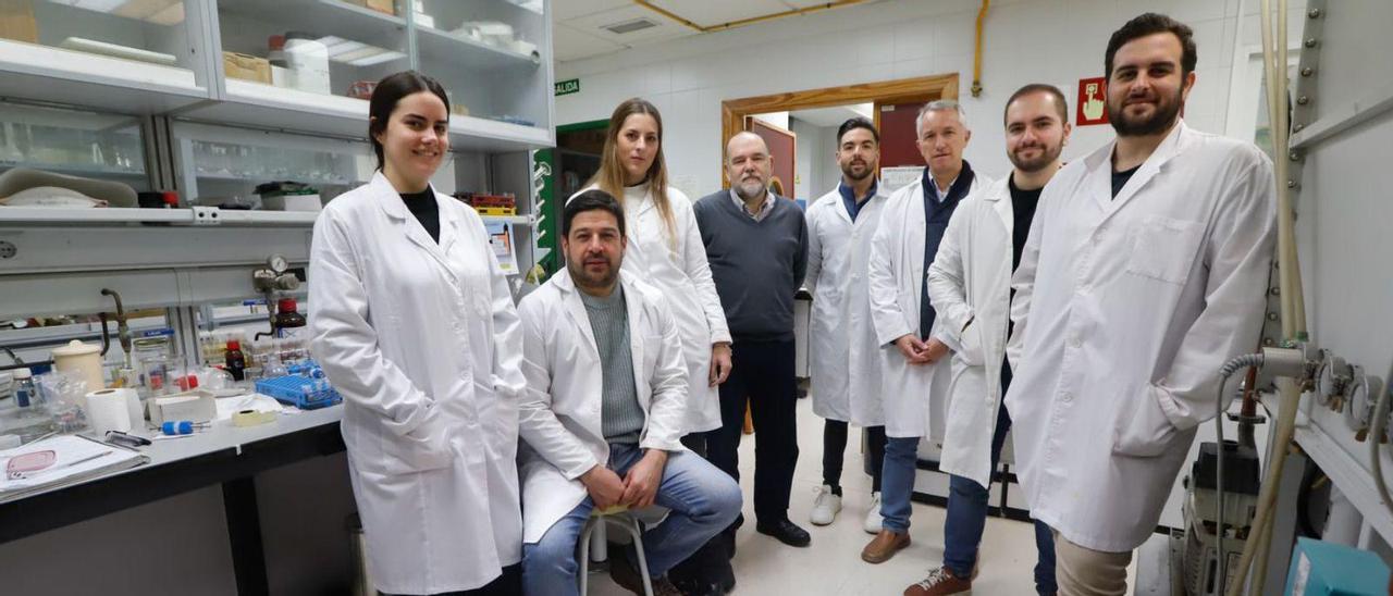 El grupo Quemi trabaja en el desarrollo de baterías de sodio