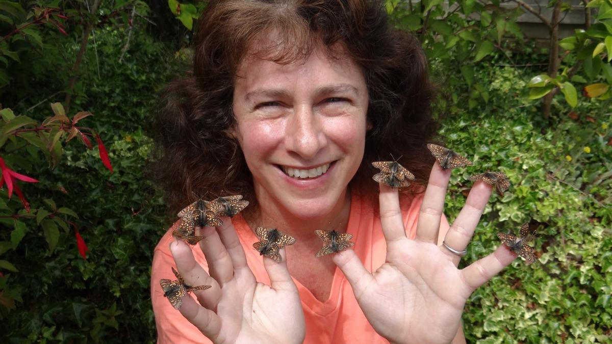 Camille Parmesan, la ecóloga que estudia el cambio climático a través ...