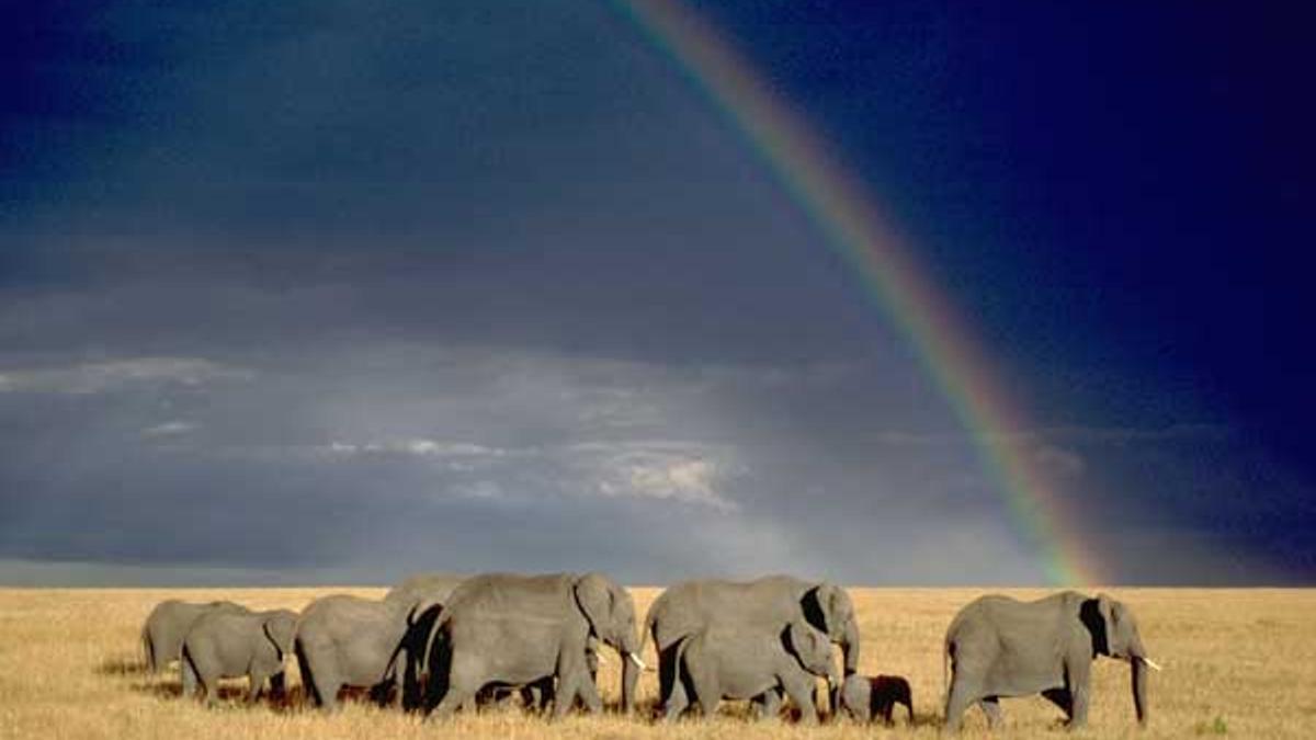 Planicies del mundo - Viajar