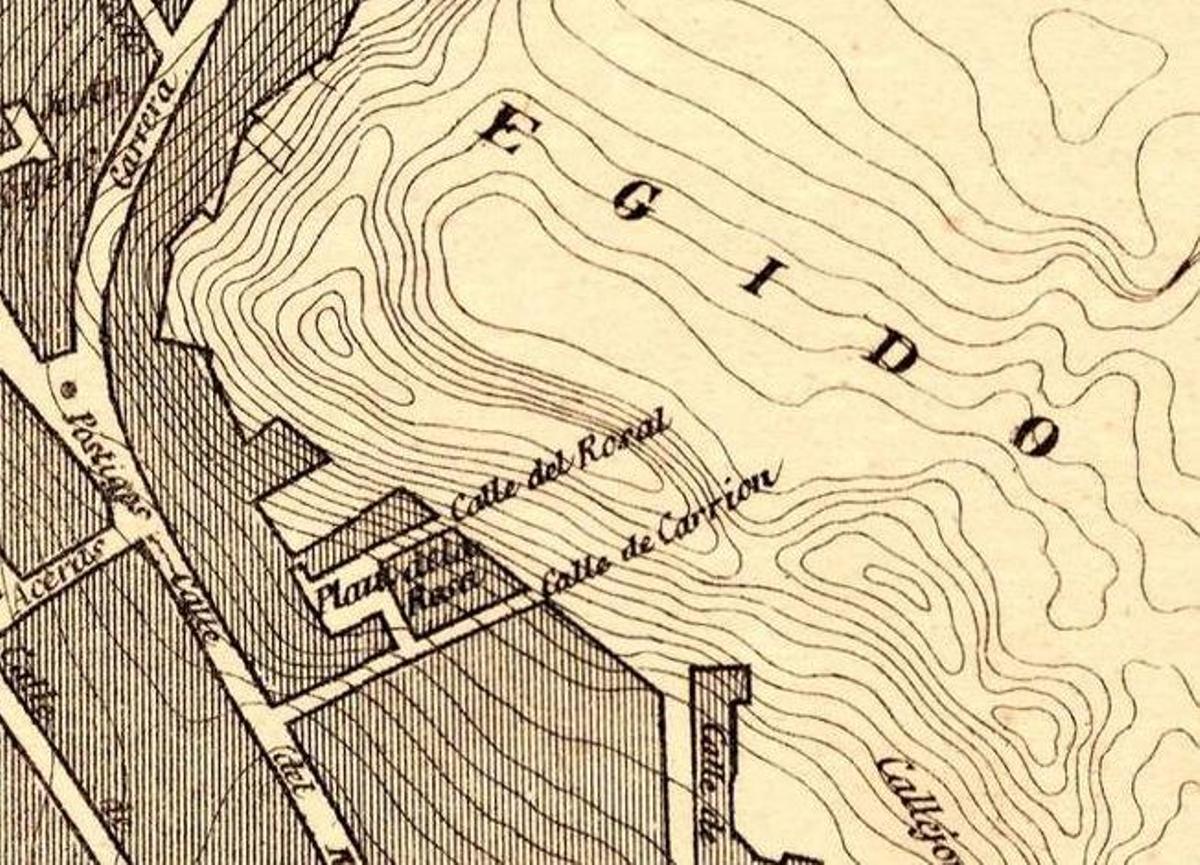 La historia de la plaza Rosa en Málaga: un rincón con encanto y tradición