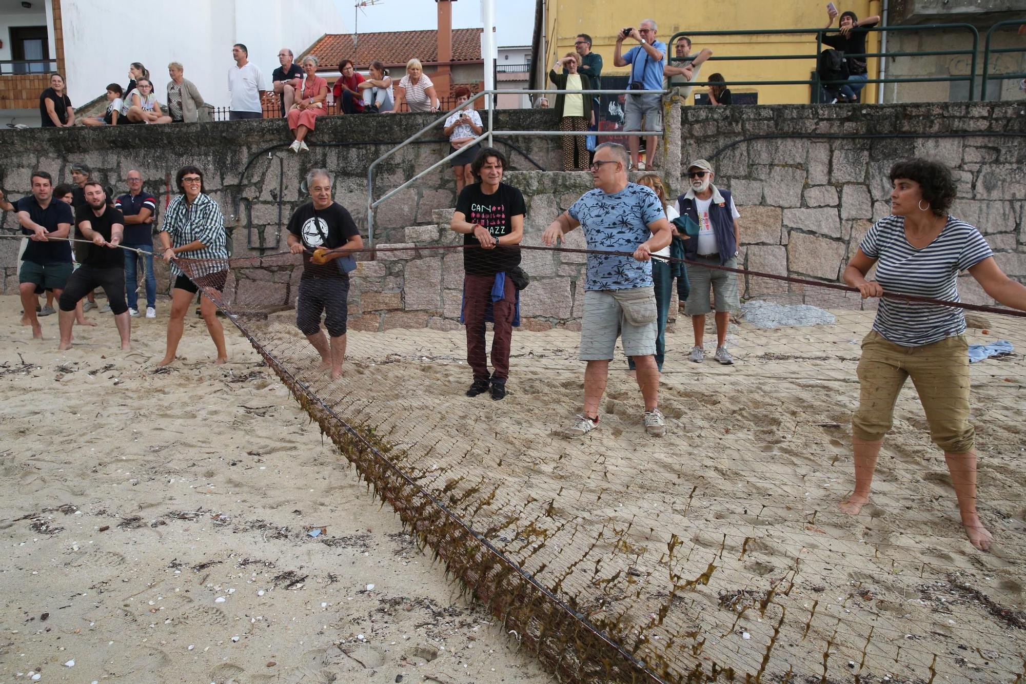 Una rapeta en la playa de Banda do Río. II Xornadas Bueu Vive o Mar