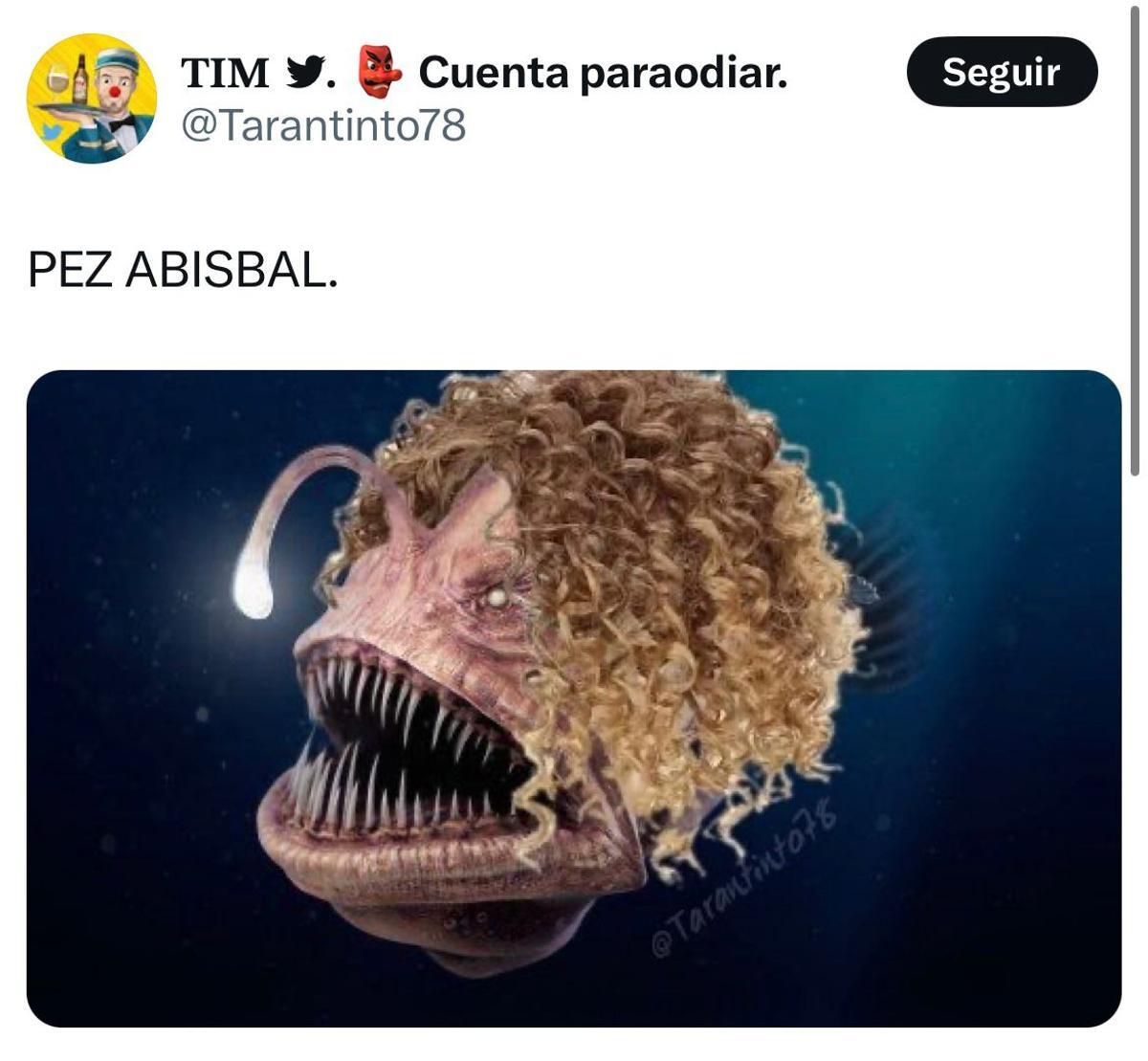 PEZ DIABLO NEGRO | ¿Dónde se exhibe el famoso pez diablo negro?