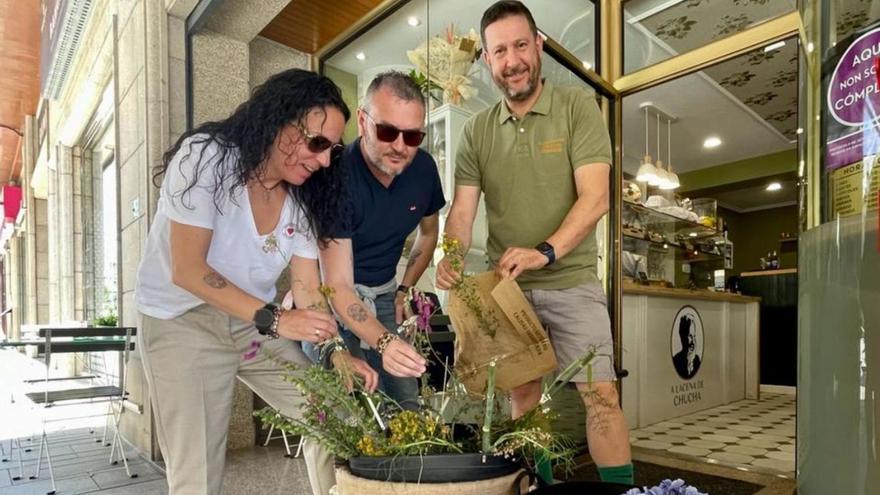 Hierbas mágicas para la rutina “skin care” del San Juan