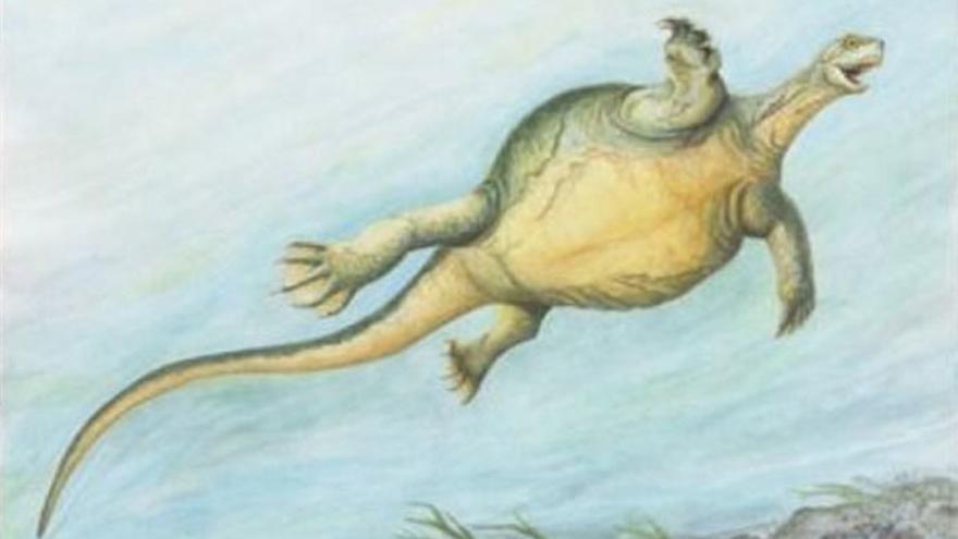 Descubren una tortuga extinta sin caparazón y con pico
