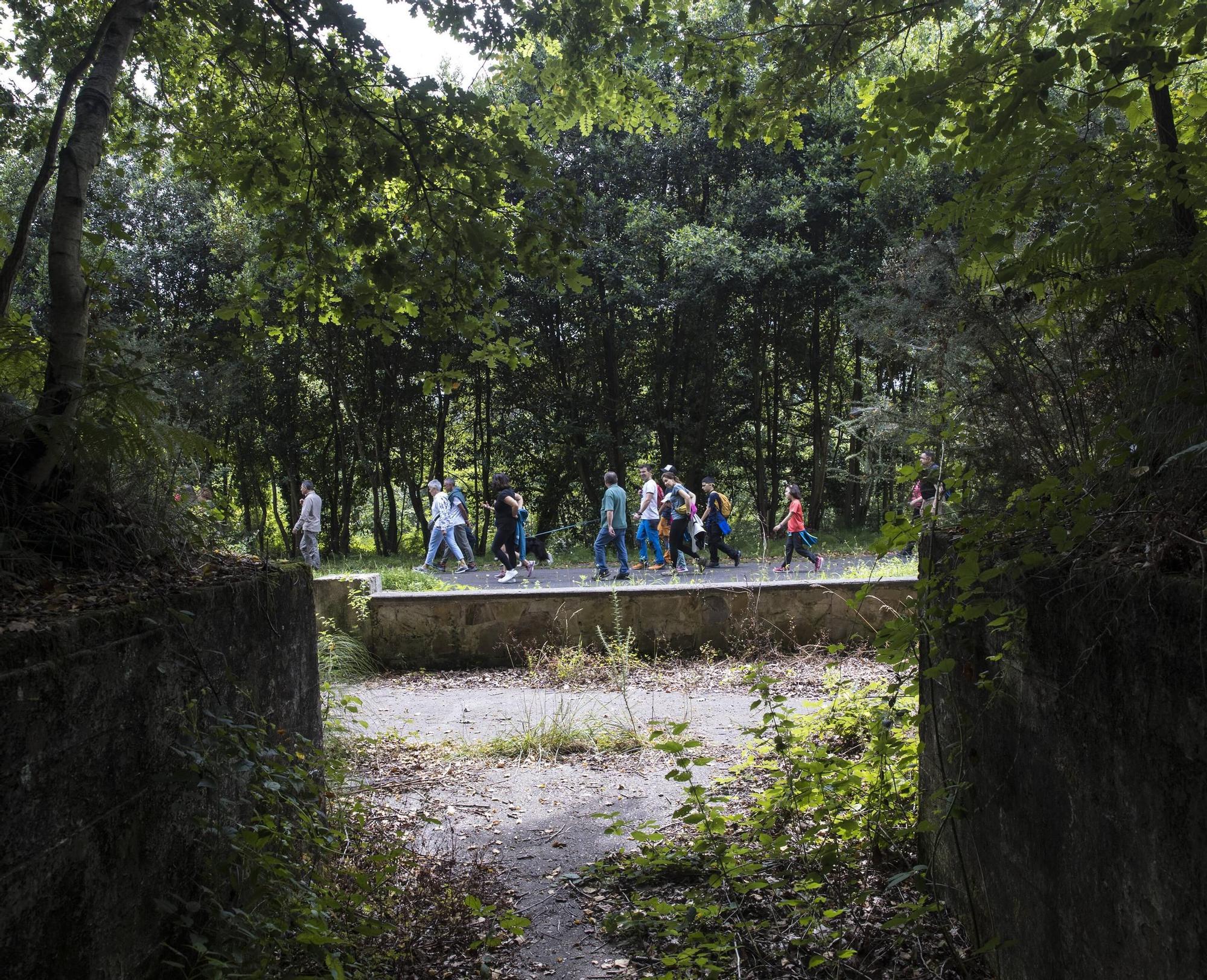 En imágenes: La Zoreda, un bosque "animado" para viajar en el tiempo