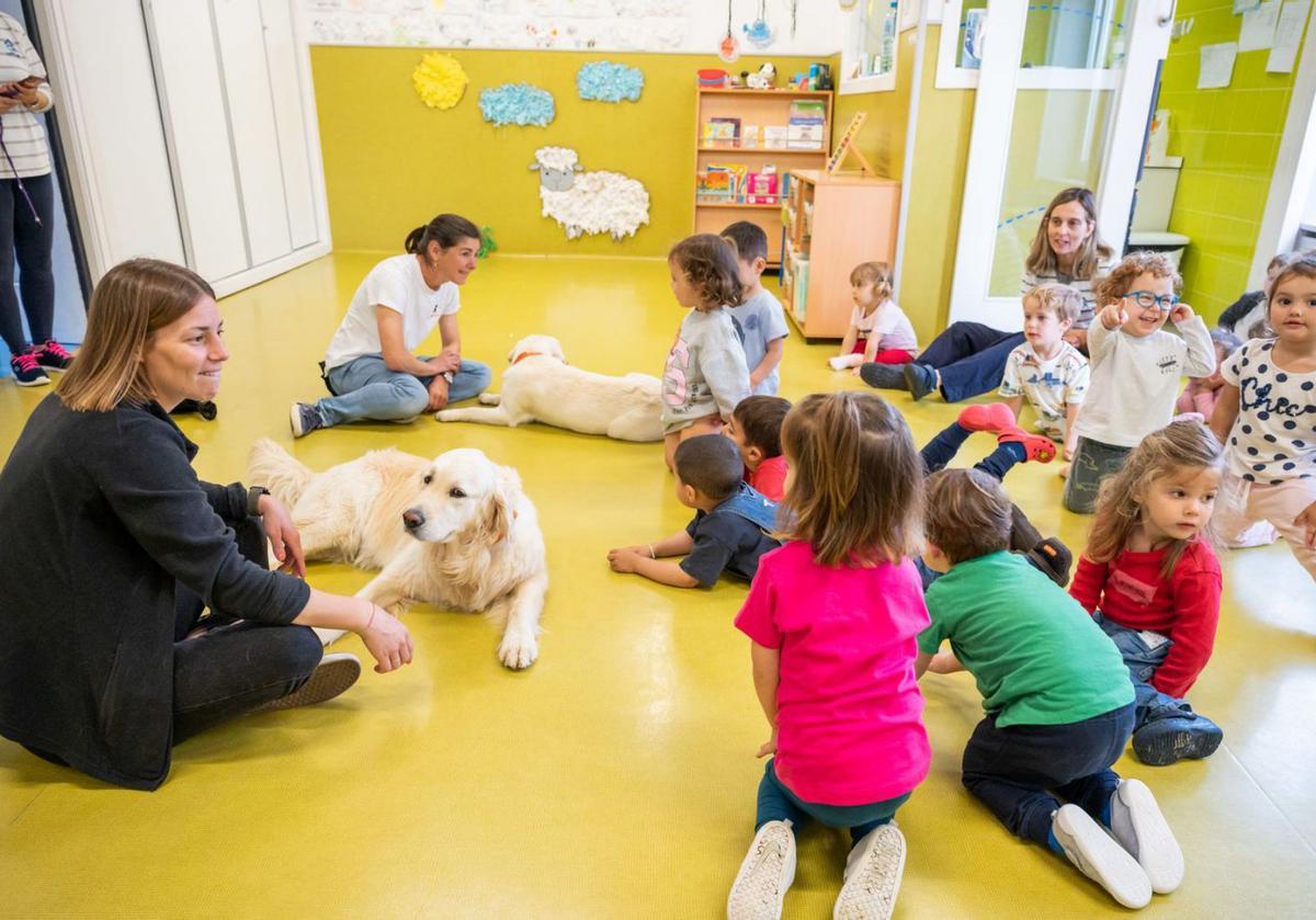Las perras Nata y Uva socializan con alumnado de las escuelas ...