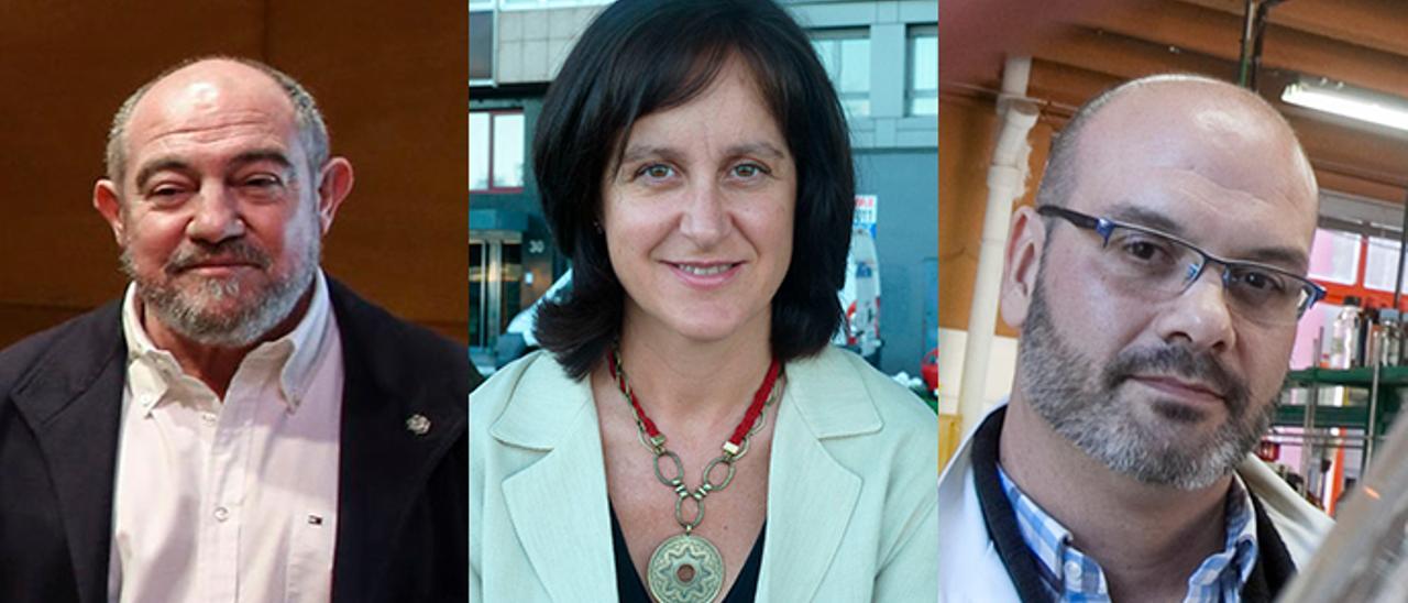 Humberto Solla, Antonio Fueyo y Sandra Velarde, entre los nuevos ...