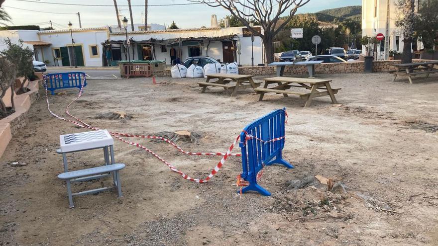 Sin árboles ni sombra