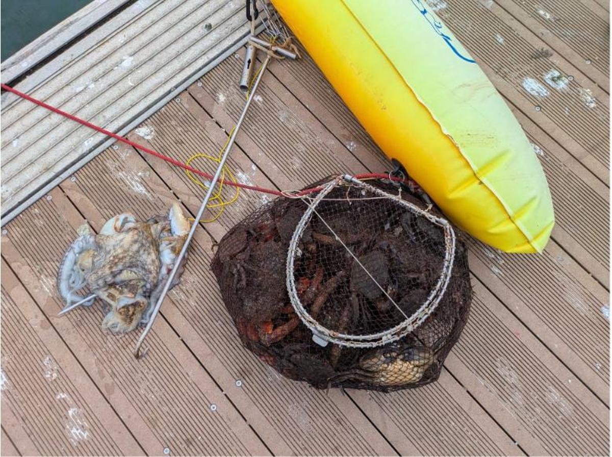 Furtivismo en Vigo: Identificadas tres personas en Toralla por ...