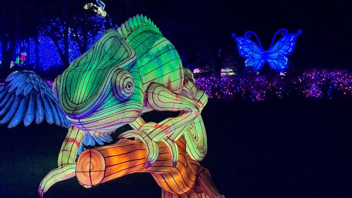 Mejores planes Portugal: Así es el espectacular zoo iluminado junto a ...