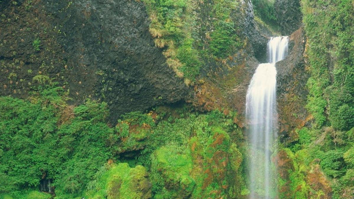 La esencia de Chile está en Huilo Huilo - Viajar