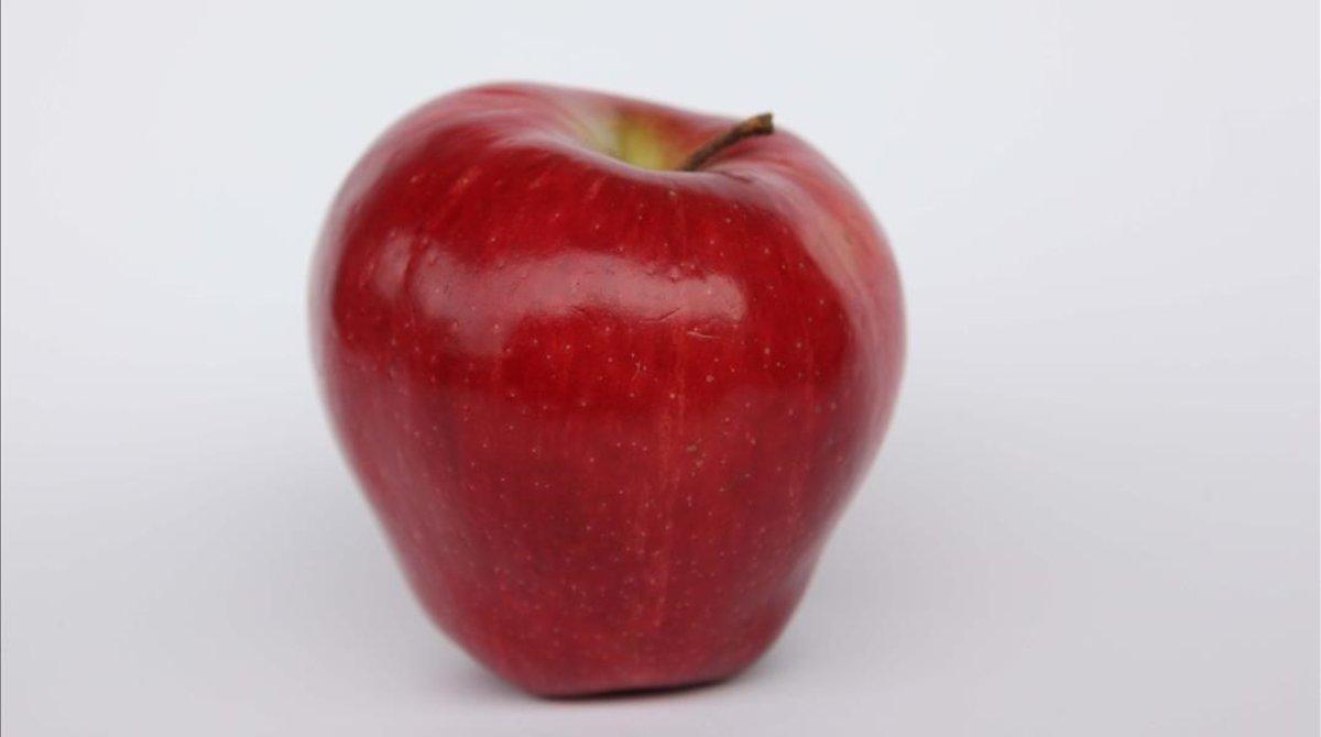 ¿De verdad recibió Newton un manzanazo?