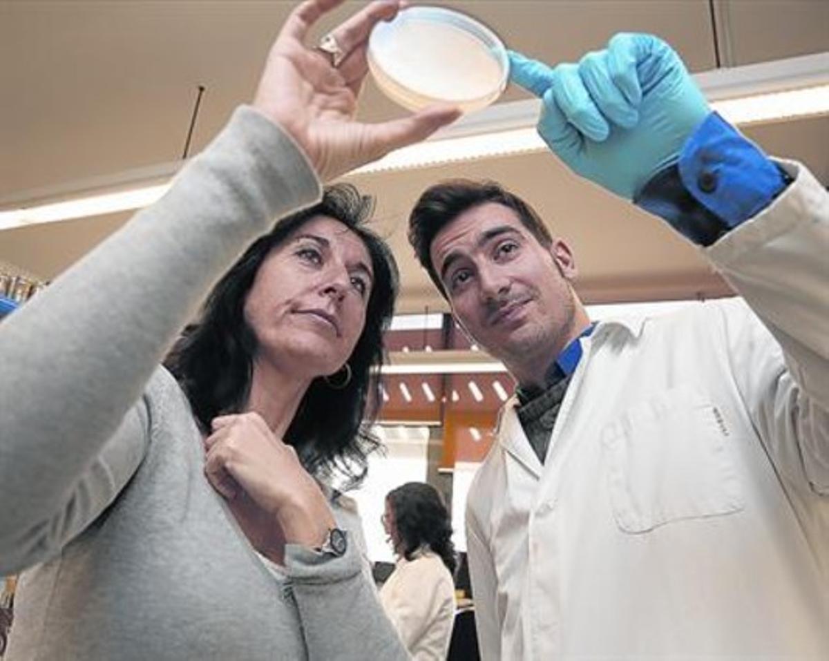 Una legión de virus ocultos