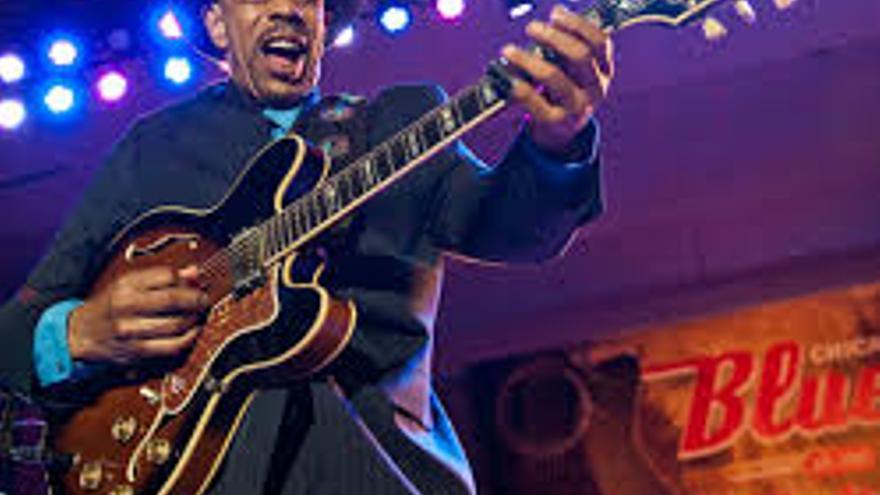 Chicago Blues: John Primer - Información