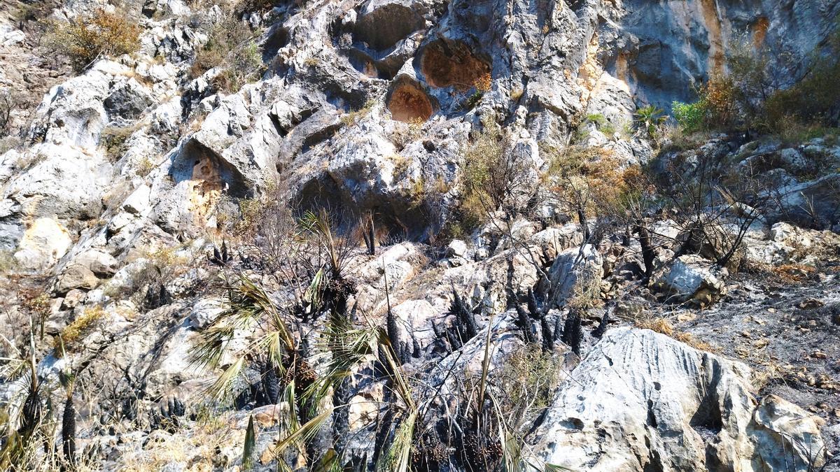 El incendio puso en peligro las pinturas rupestres de Pla de Petracos ...
