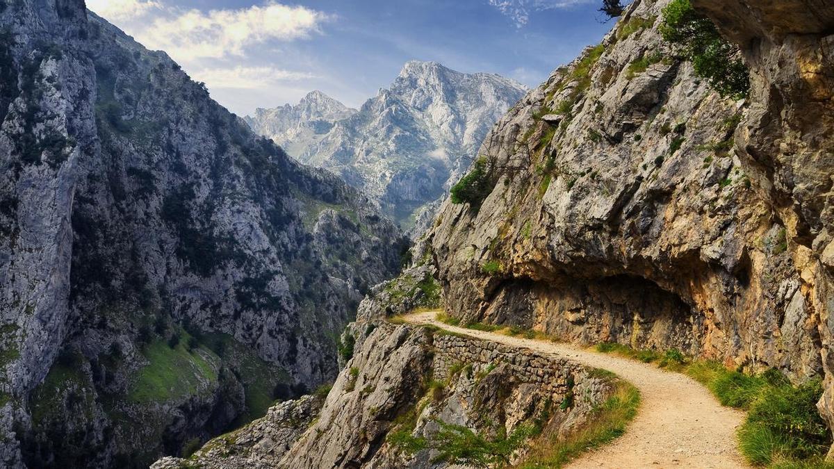 Vivamax porn huh following the same procedure as before,