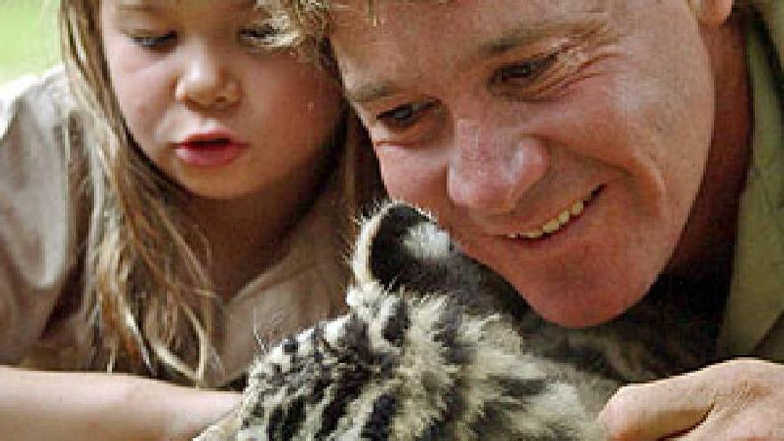 Muere un actor y naturalista australiano a causa de la picadura de una ...