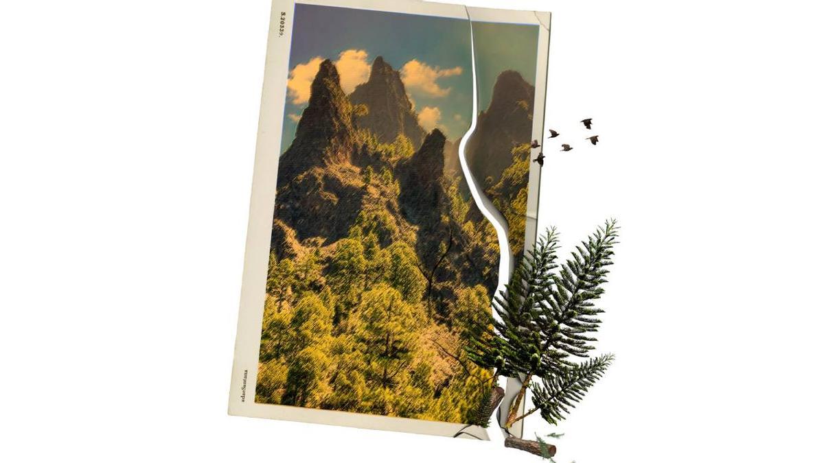 OPINIÓN | «Hay que poner coto»